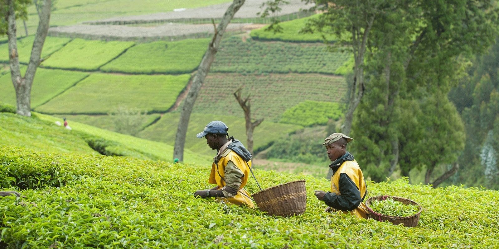 Financing For Food Security Smallholder Priorities In The Global 